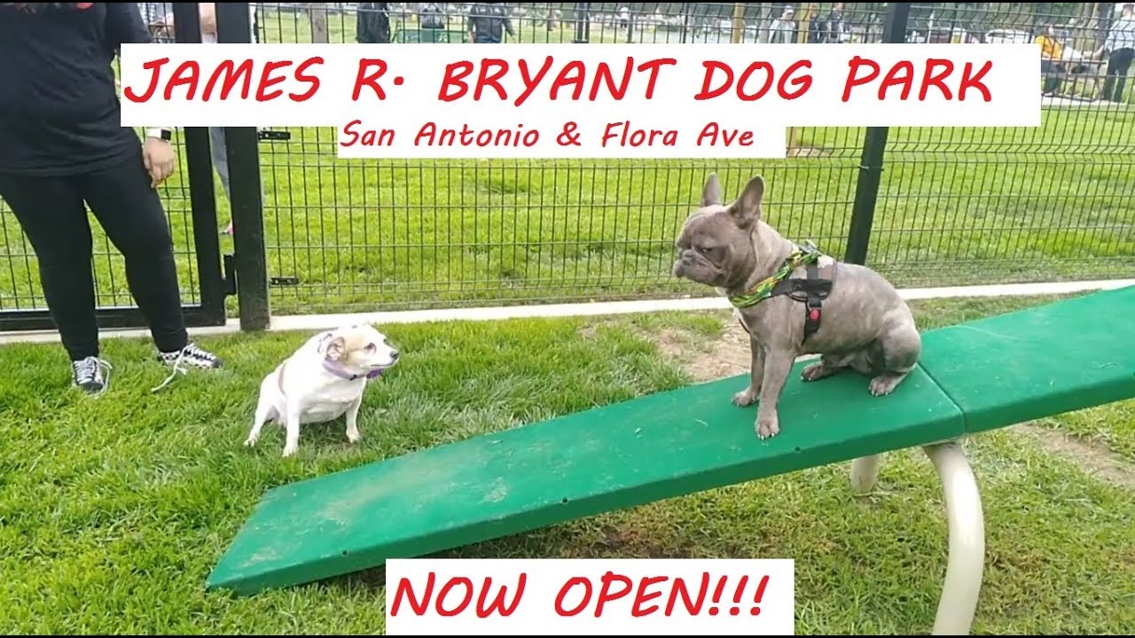 Ontario California - James R. Bryant Dog Park is now OPEN!!!! - YouTube