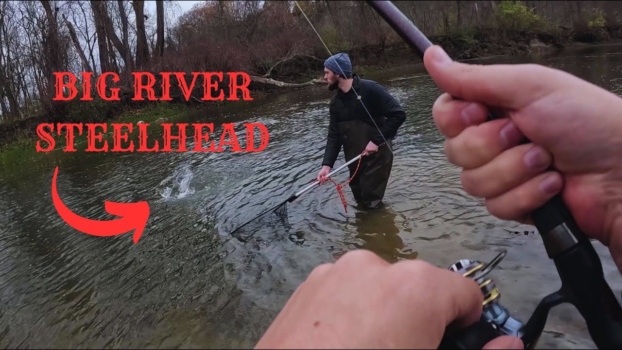 Steelhead Alley - BIG fish landed! - YouTube