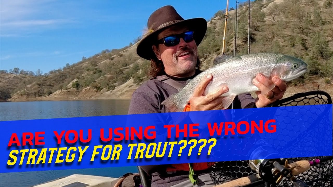 Catch Trout Like A Pro With This Unbeatable Winning Strategy! #fishing ...
