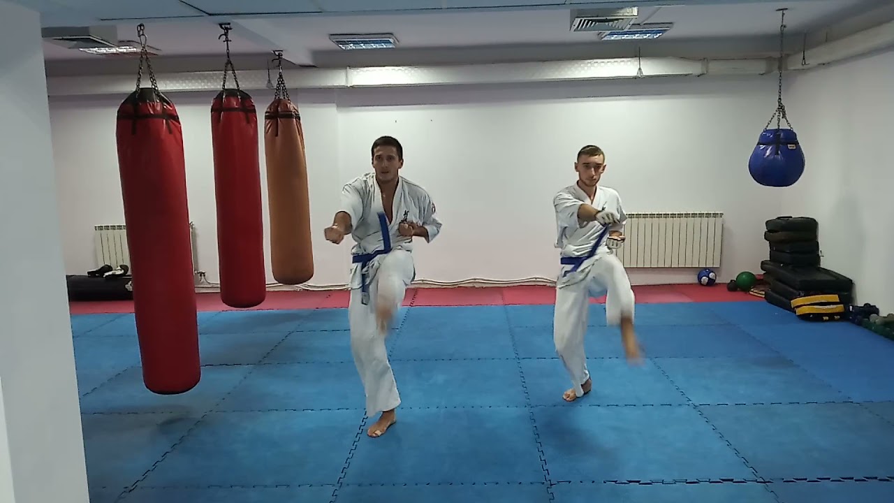 KYOKUSHIN BASIC KIHON - YouTube