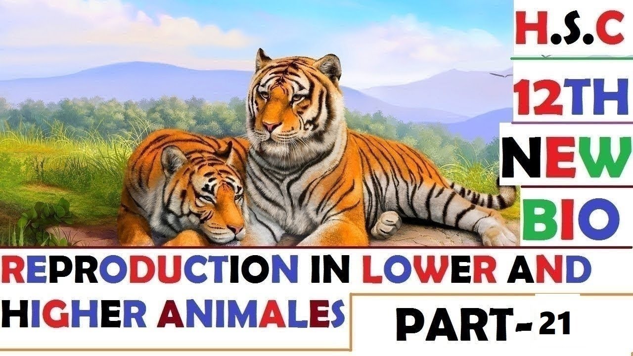 Reproduction In Lower and Higher Animals Chapter 2 Part-21 - YouTube