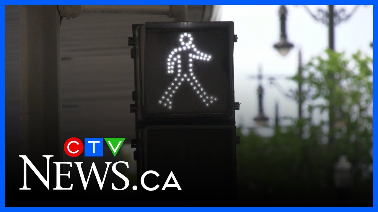 Report examines close calls between vehicles, pedestrians and cyclists ...