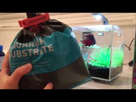 Betta hospital - YouTube