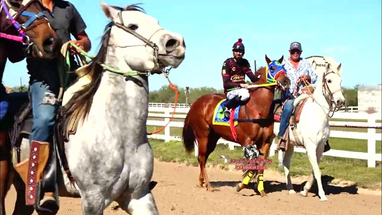 EL GRANITO DIORO LA DIVA EL MAPA 150 300 YDS WHATSAP - YouTube