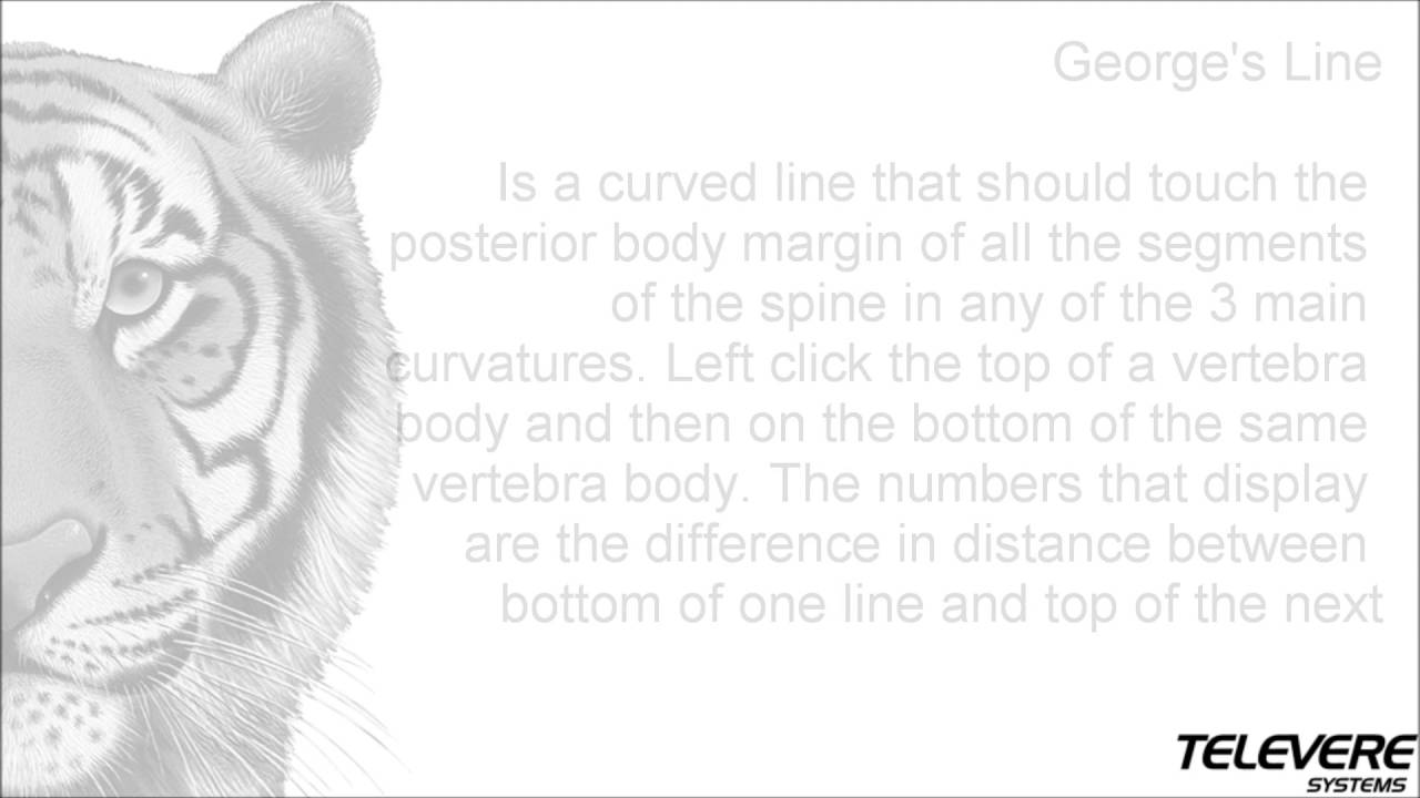 GA- Georges Line - YouTube