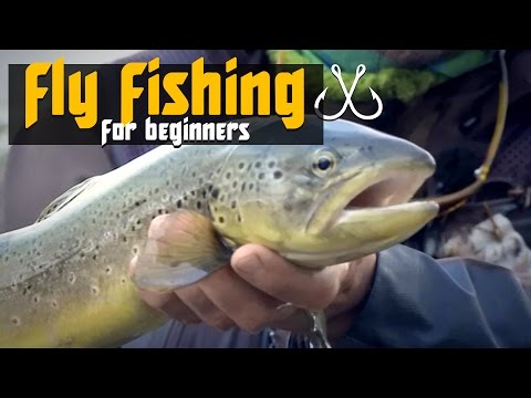 Fly fishing for beginners - YouTube