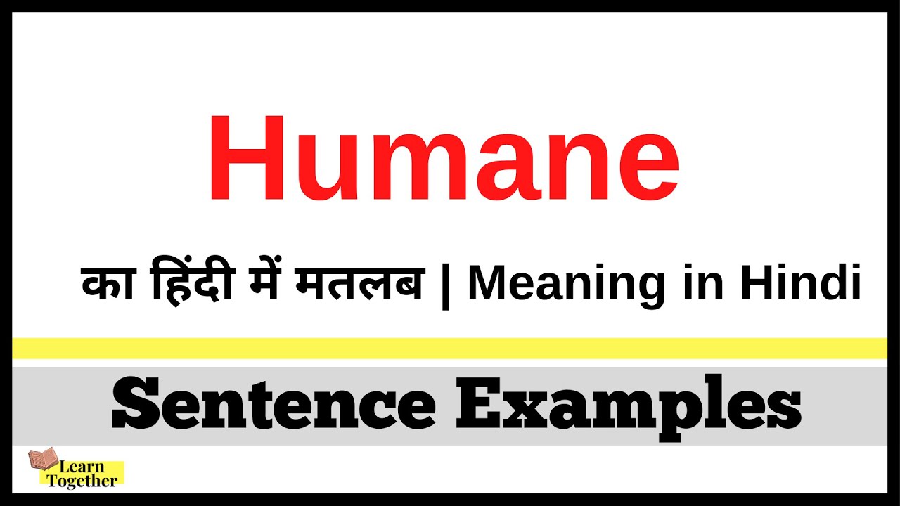 Humane Meaning in Hindi | Humane ka kya matkab hota hai Video | Daily ...