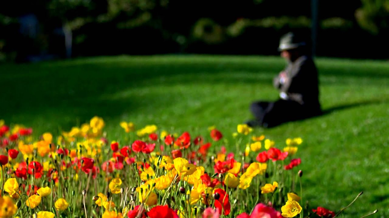 Gozel Guller... - YouTube