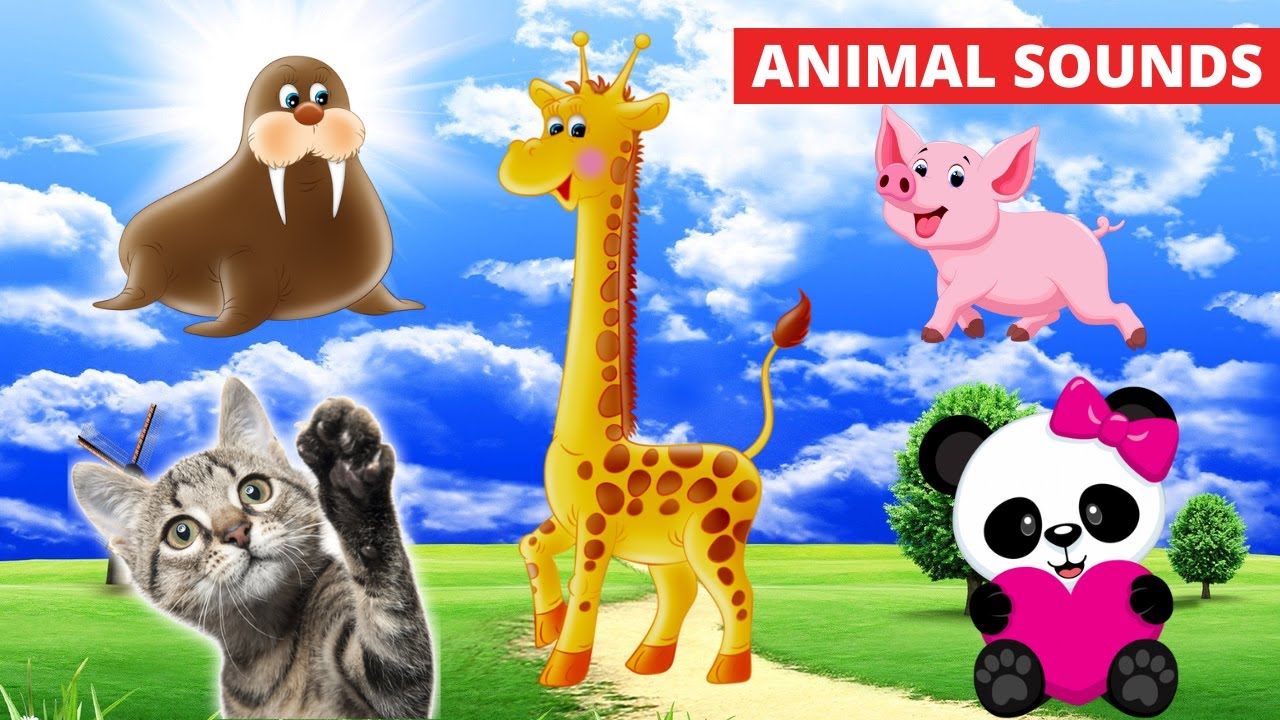 Learn Family Animals: Cat, Dog, Horse, Cow, Chicken, Duck - Learn Farm ...