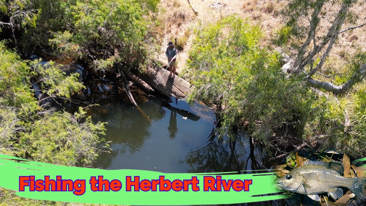 Determined to catch a fish - North QLD freshwater fishing in the ...