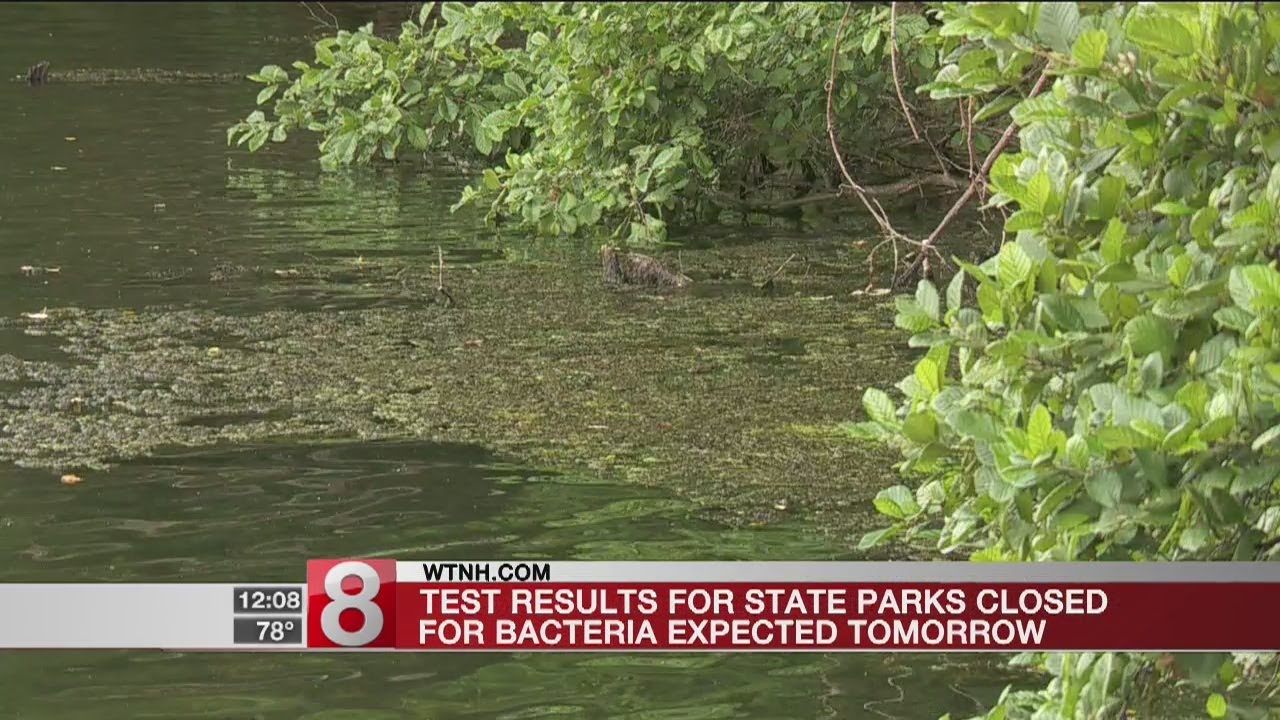 3 Connecticut state parks closed due to the presence of indicator ...