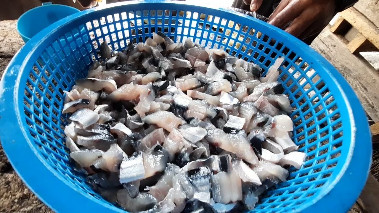 Kinilaw na Balu at tinola salindatu fish! thanks brod dodo sa masarap ...