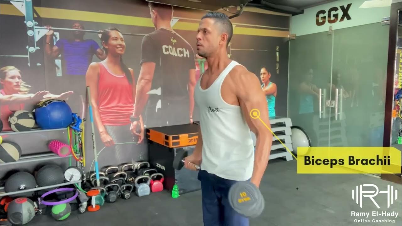 DB Alternating Biceps Curl (دمبل بايسبس تبادل) - YouTube