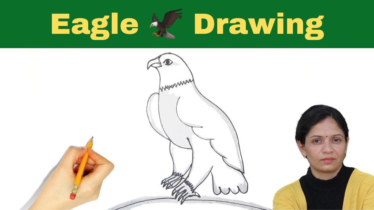 Eagle Drawing: Step-by-Step Tutorial | Madhavi's Drawing - YouTube