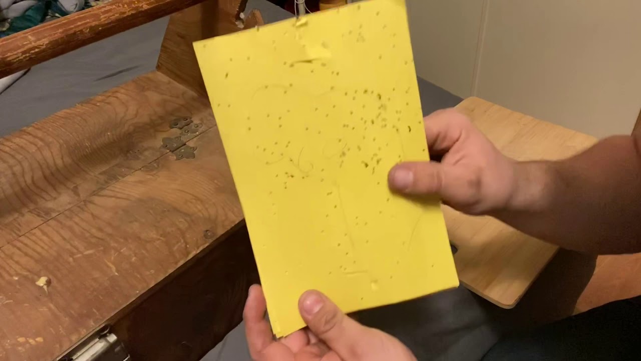 How To Make Paper Shot Cartridges For Muzzle Loaders YouTube how-to-make-paper-shot-cartridges-for-muzzle-loaders-youtube