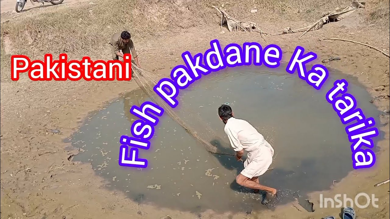 fish pakdane Ka tarika Pakistani fish 🐟 gulfam - YouTube