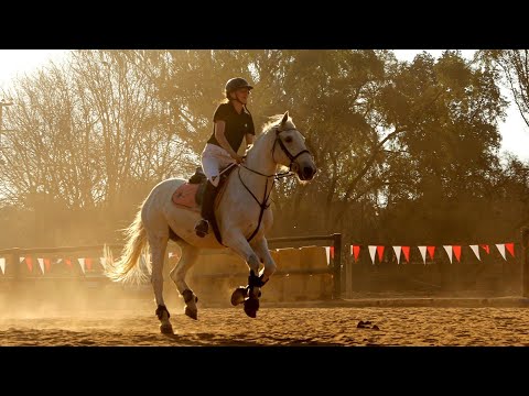 Seyunique 2019 - YouTube