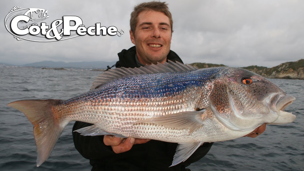 Pêche du Denti au Fireball - YouTube