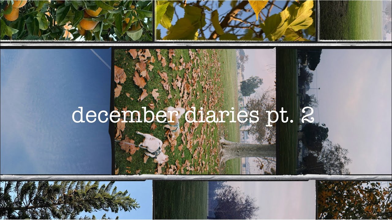 december diaries pt. 2 || “winter world” by a.g. riddle, christmas tree ...