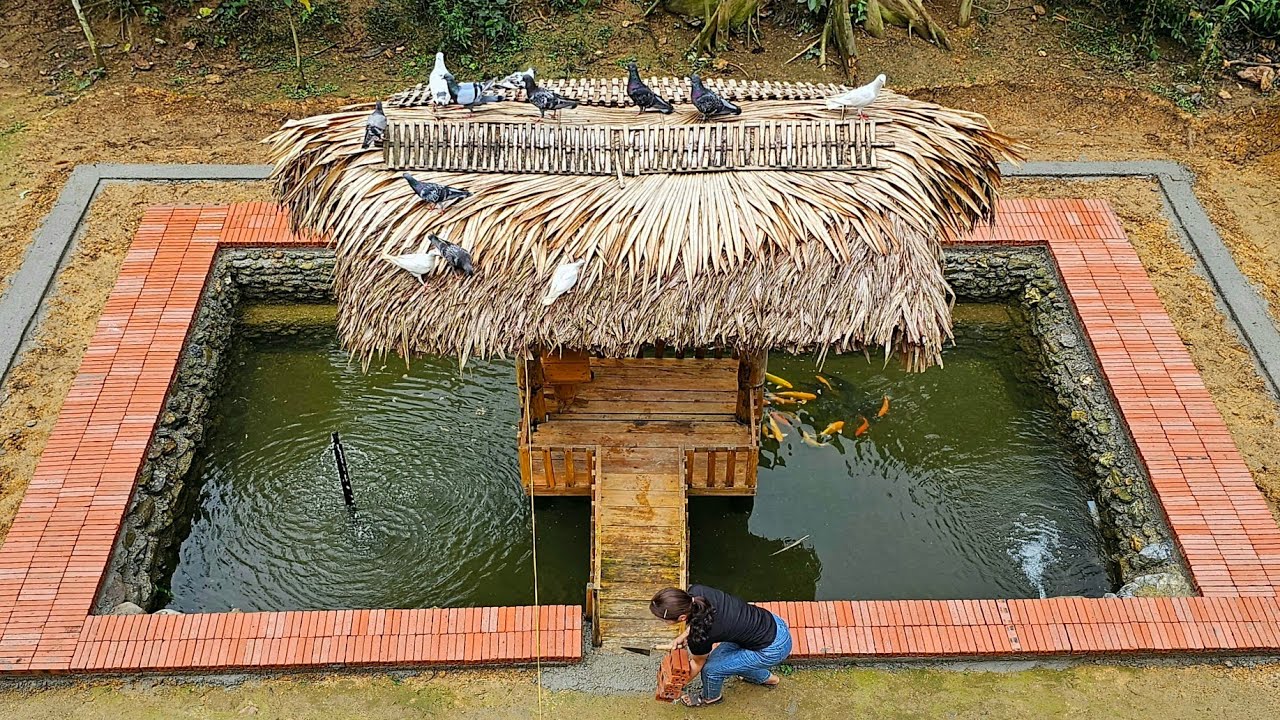 Build red bricks for the edge of the fish pond- Phùng Thị Chài - YouTube