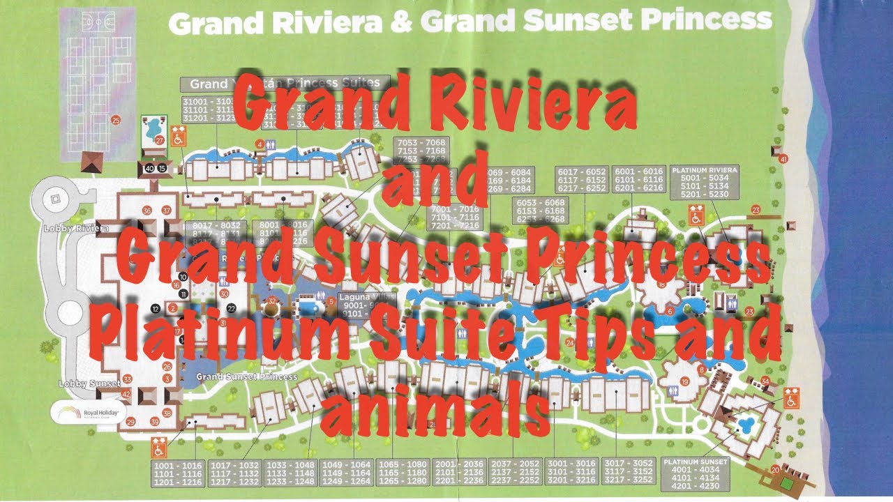 Grand Riviera and Grand Sunset Princess with Platinum Suite and animals ...
