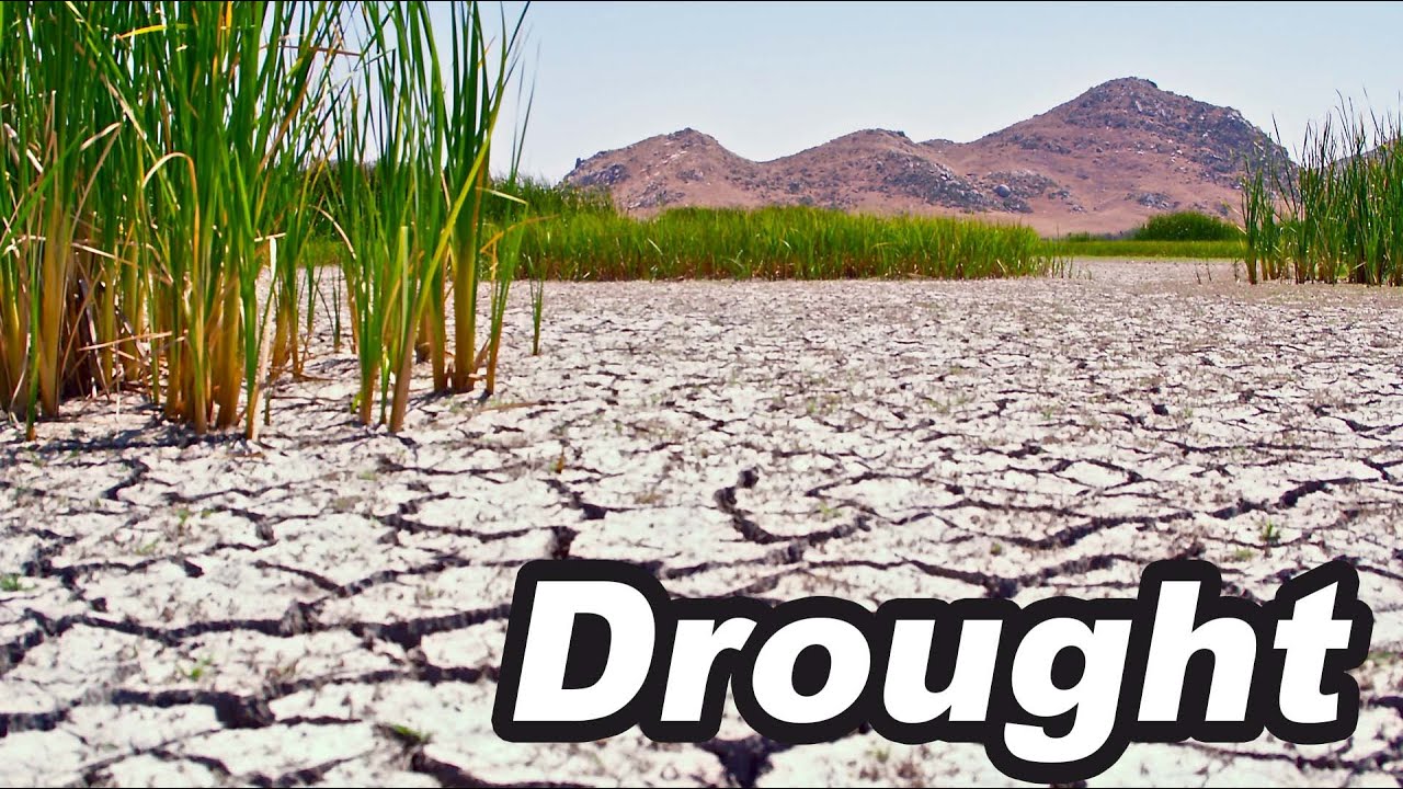 Jeremiah 14-17 KJV - Drought - Bible in a Year Ep 232/365 - YouTube