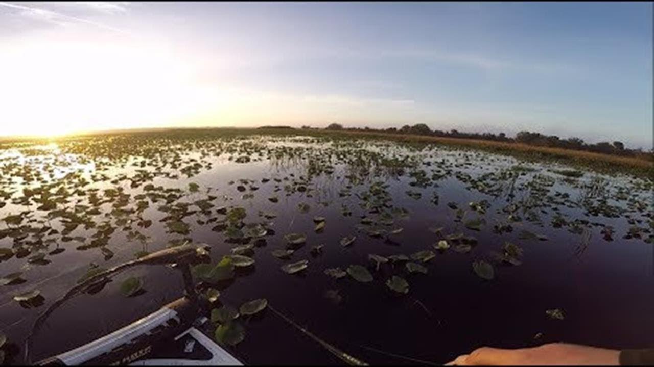[Suggest in Desc]Fishing Florida Swamps For Big Bass!! - YouTube