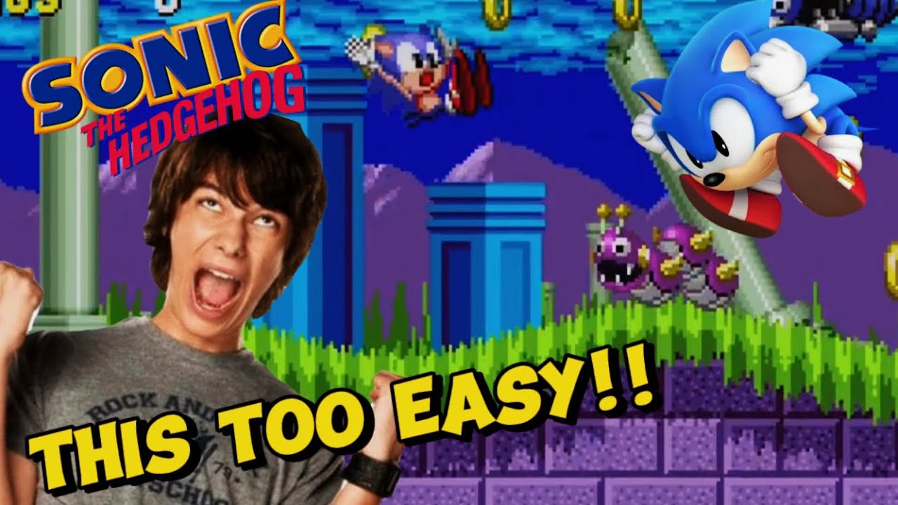 BEST SONIC PLAYER BEATS LEVEL WITH EASE😱 🎉(Sonic The Hedgehog #2) - YouTube