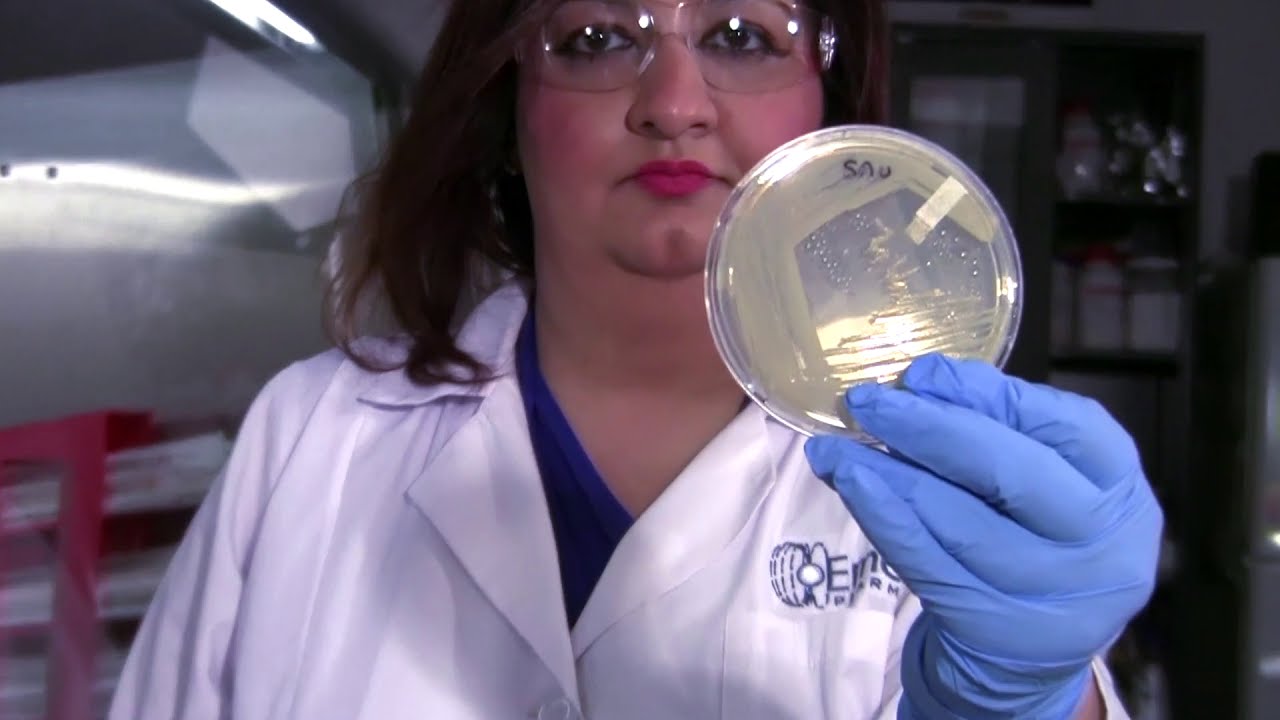 Minimum Inhibitory Concentration (MIC) Testing Overview - YouTube