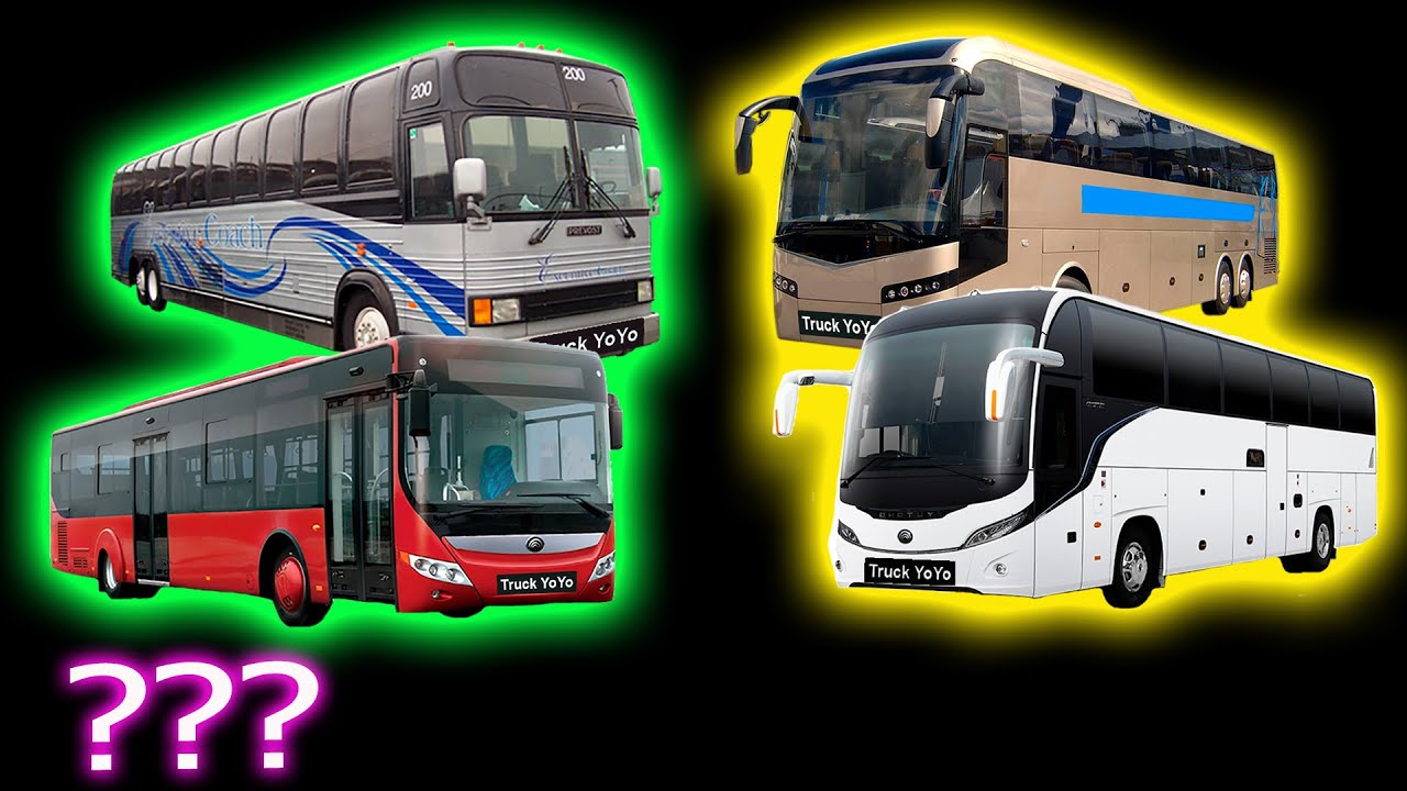 146 "Bus Horn" Sound Variations in 67 Seconds - YouTube