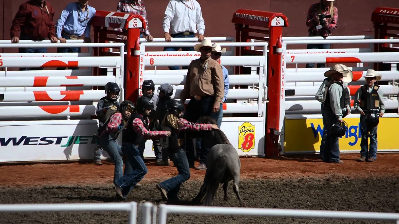 Calgary Stampede Children vs Pony - YouTube