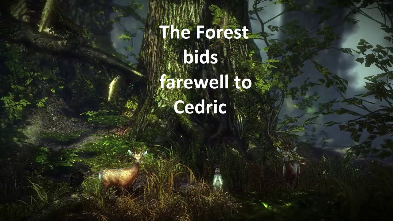 The Forest bids farewell to Cedric | The Witcher 2: Enhanced Edition ...