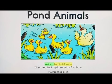 Pond Animals- One min short story for kids/ Reading Practice for kids ...
