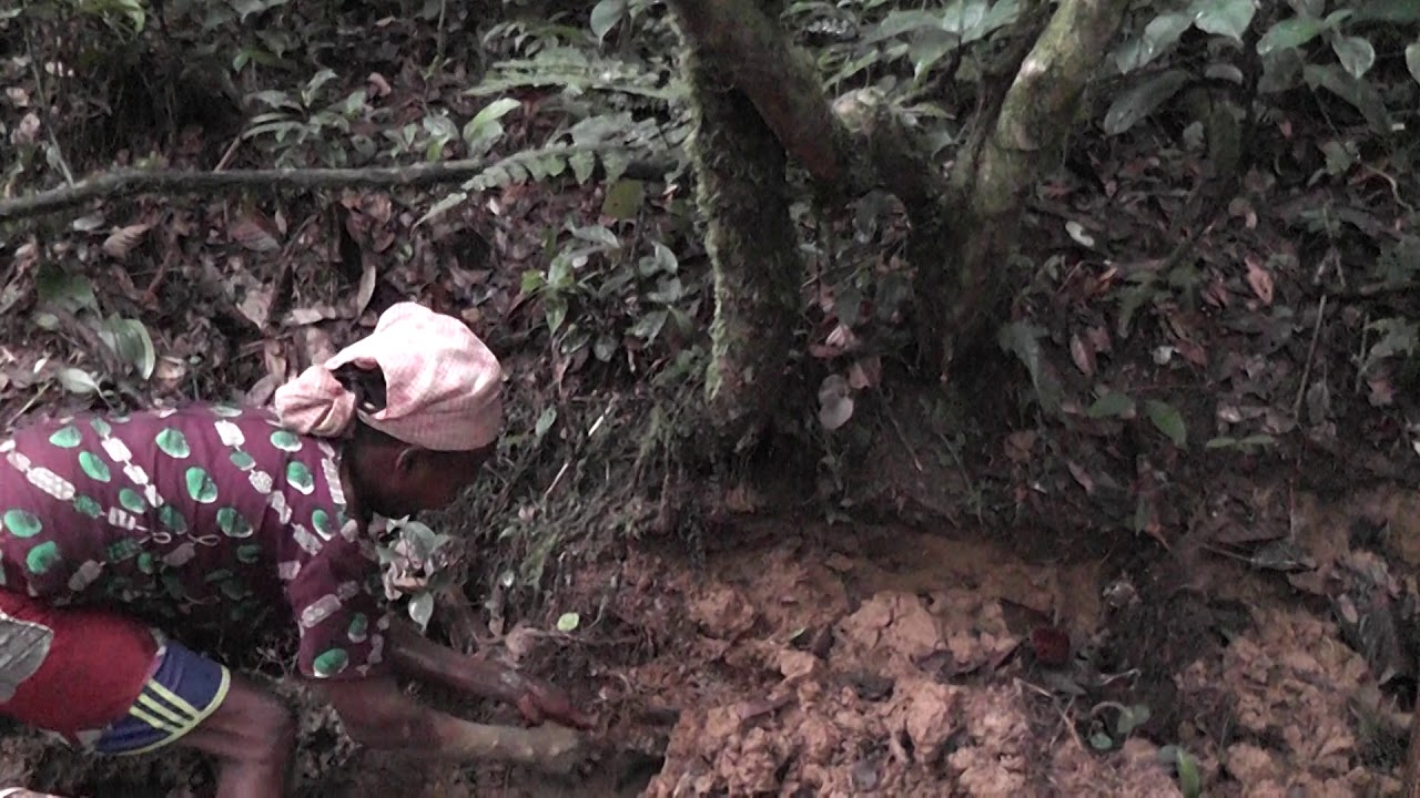 Assos tsonga mbedi(2) - YouTube