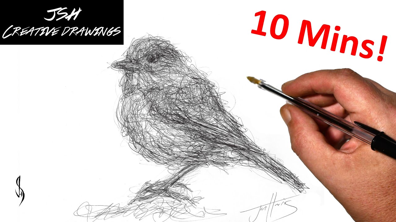 10 Minute Quick Sketch | Scribbling a Robin with a BIC Biro Pen - YouTube