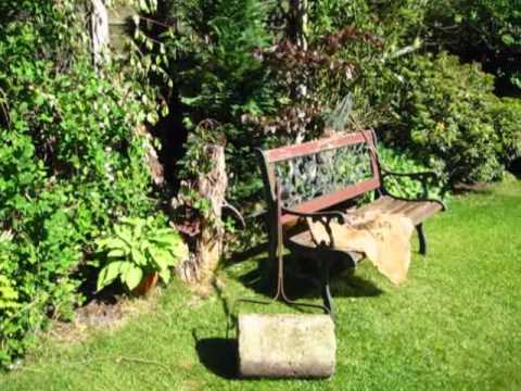 Our Garden june 2010 Van Morrison Green - YouTube