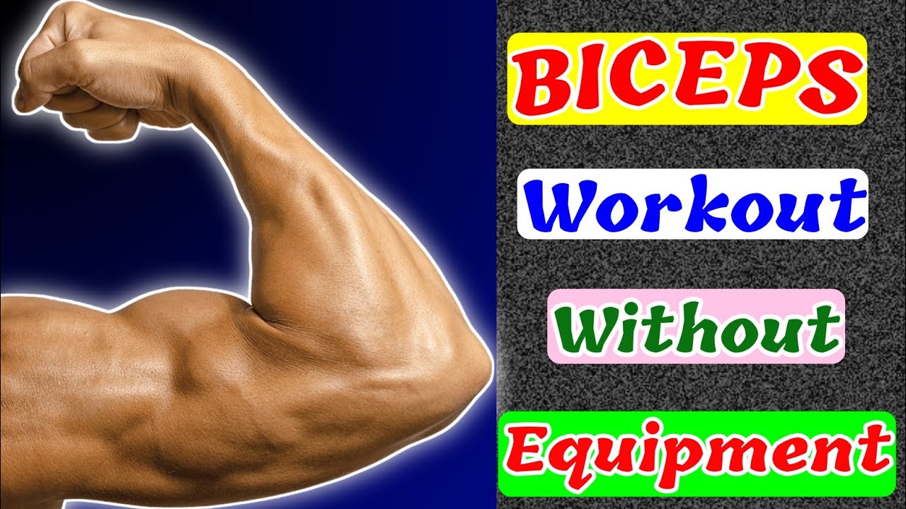Biceps Workout Without Equipment Bicep Workout Bicep Exercise