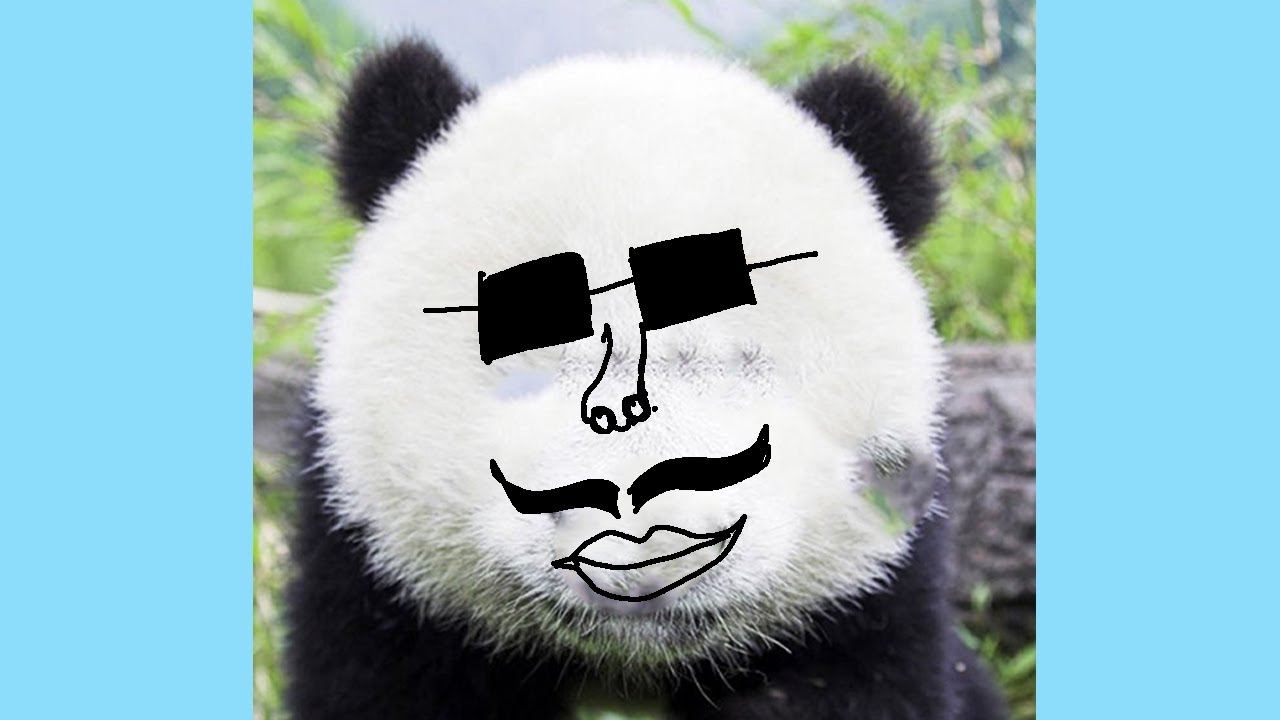 Panda | Meme drawing face on panda - YouTube