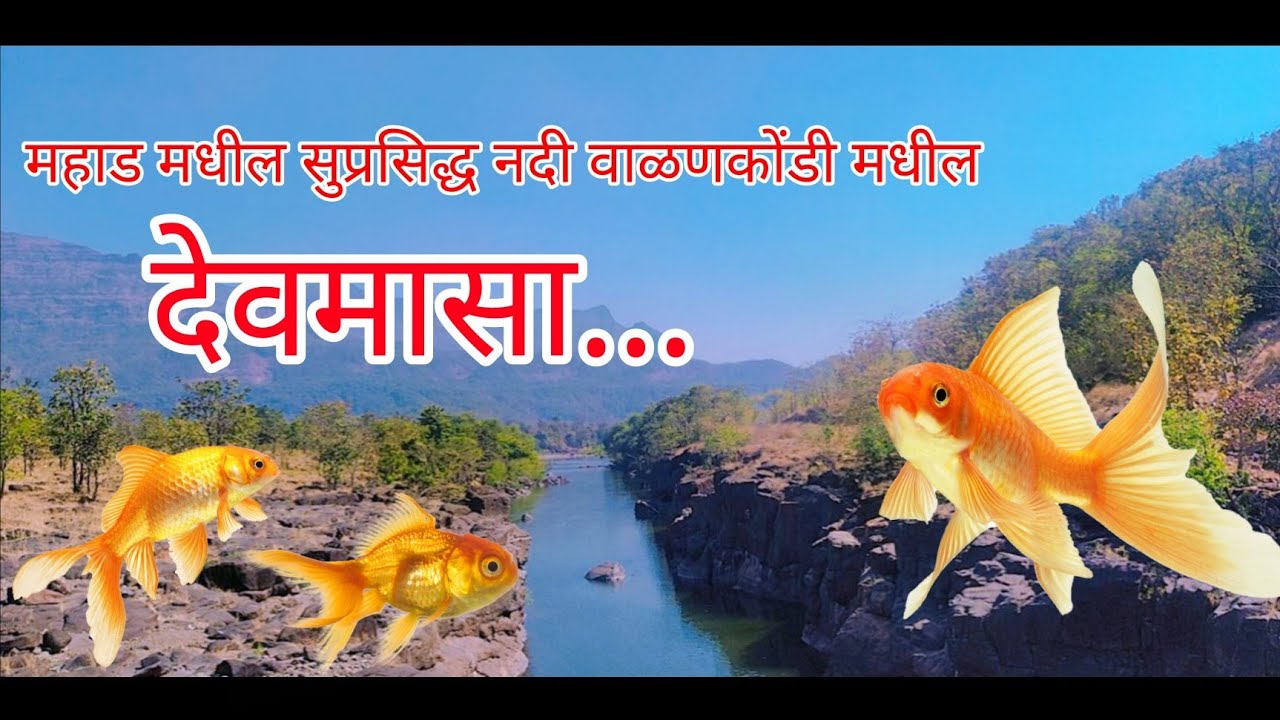 Walan kund || वळणकोंड-Mahad, Raigad || #walankondi #walankund #mahad # ...