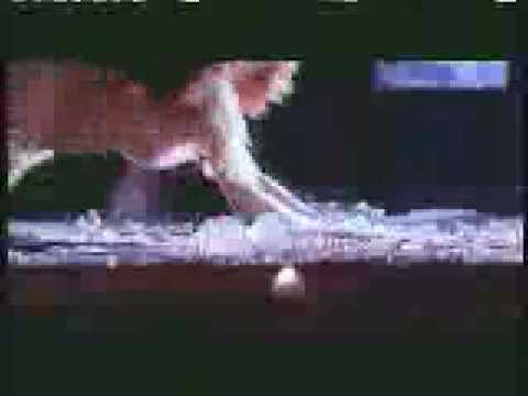 Army1996-Tere Mere Dushman