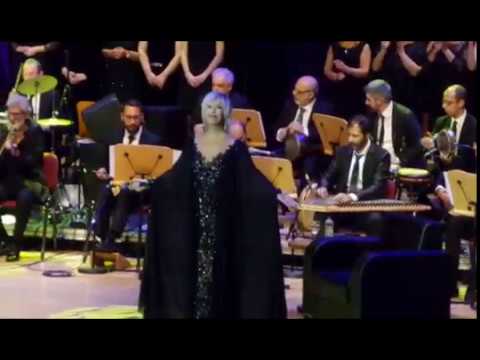 EMEL SAYIN - Menekşelendi Sular