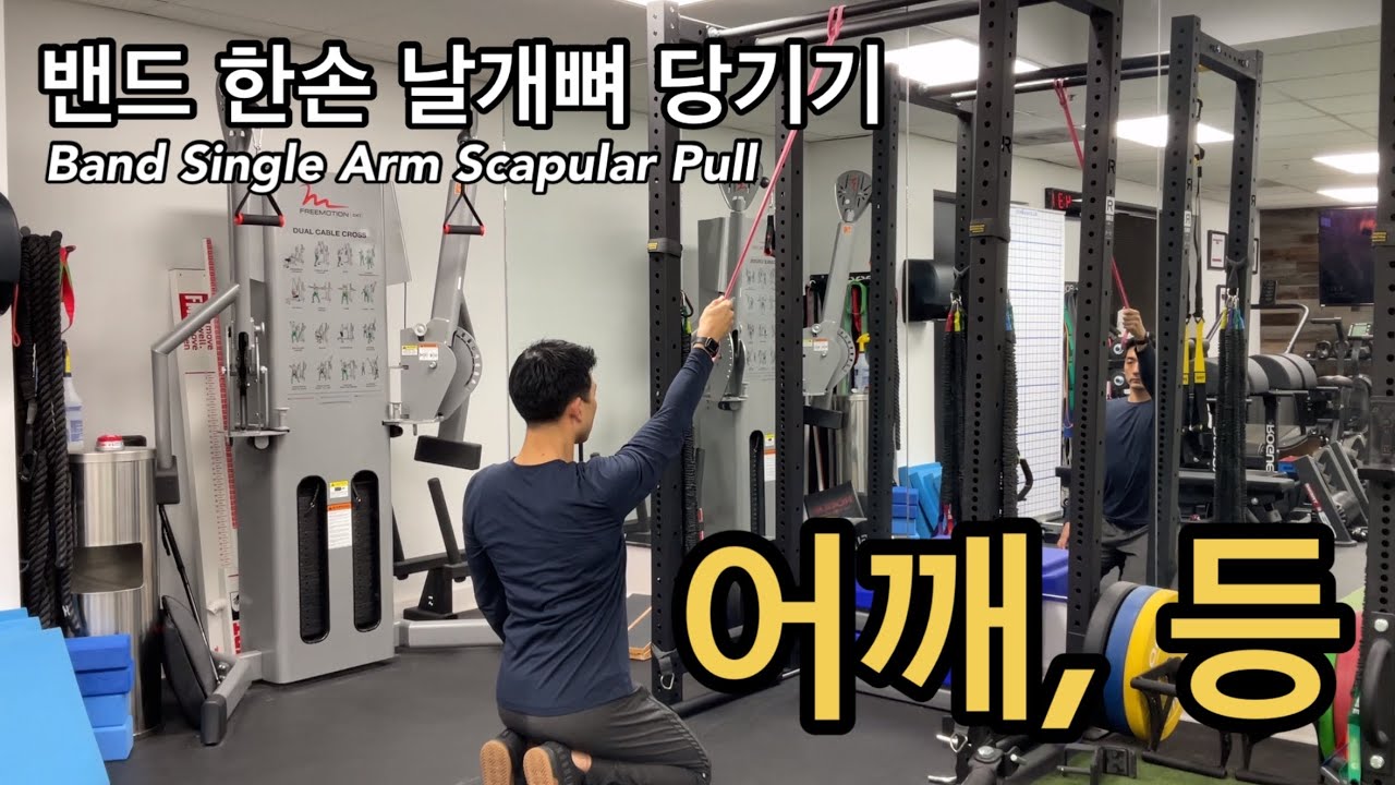 (어깨, 등) 밴드 한손 날개뼈 당기기 (Band Single Arm Scap Pull) - YouTube