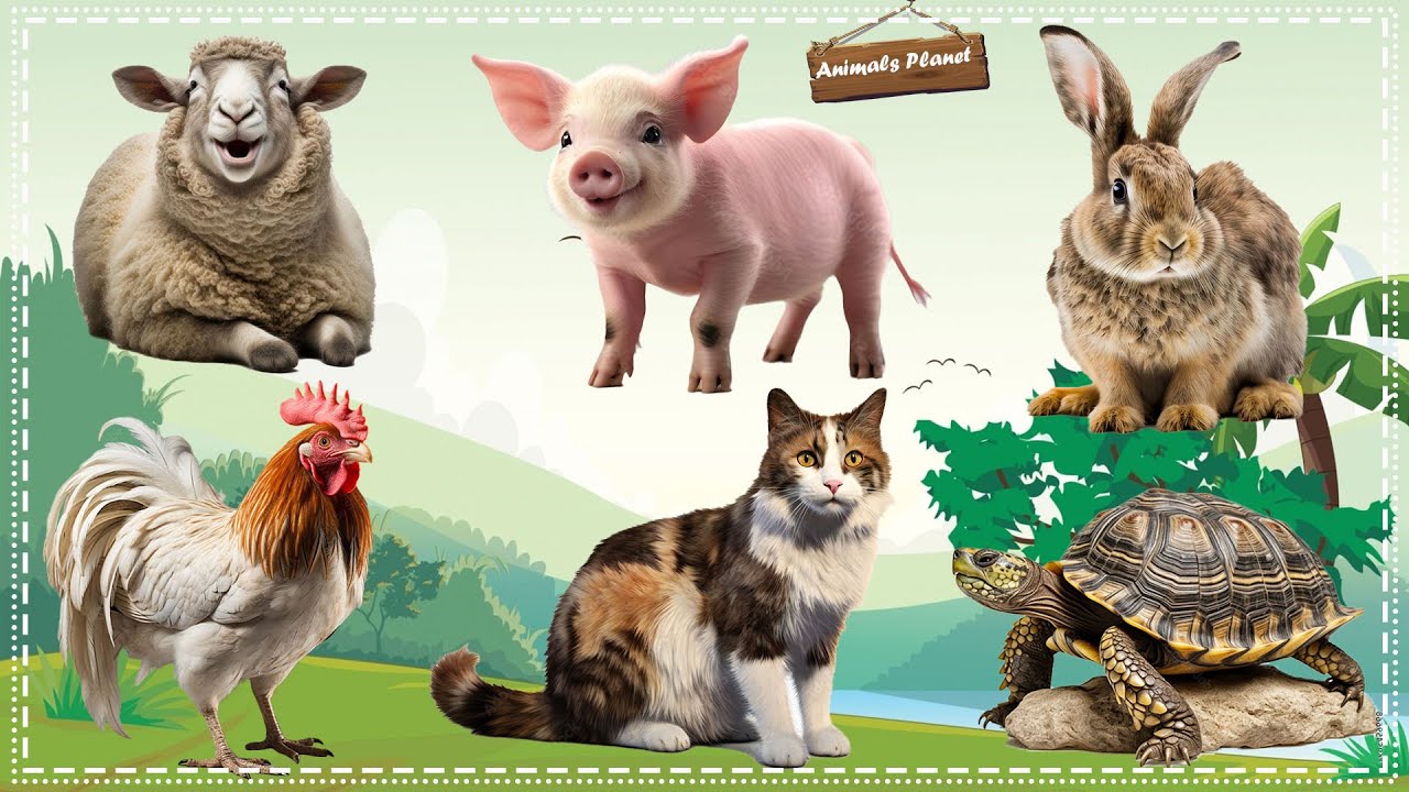 Cute Little Animals Making Funny Sounds: Sheep, Pig, Rabbit, Chicken ...