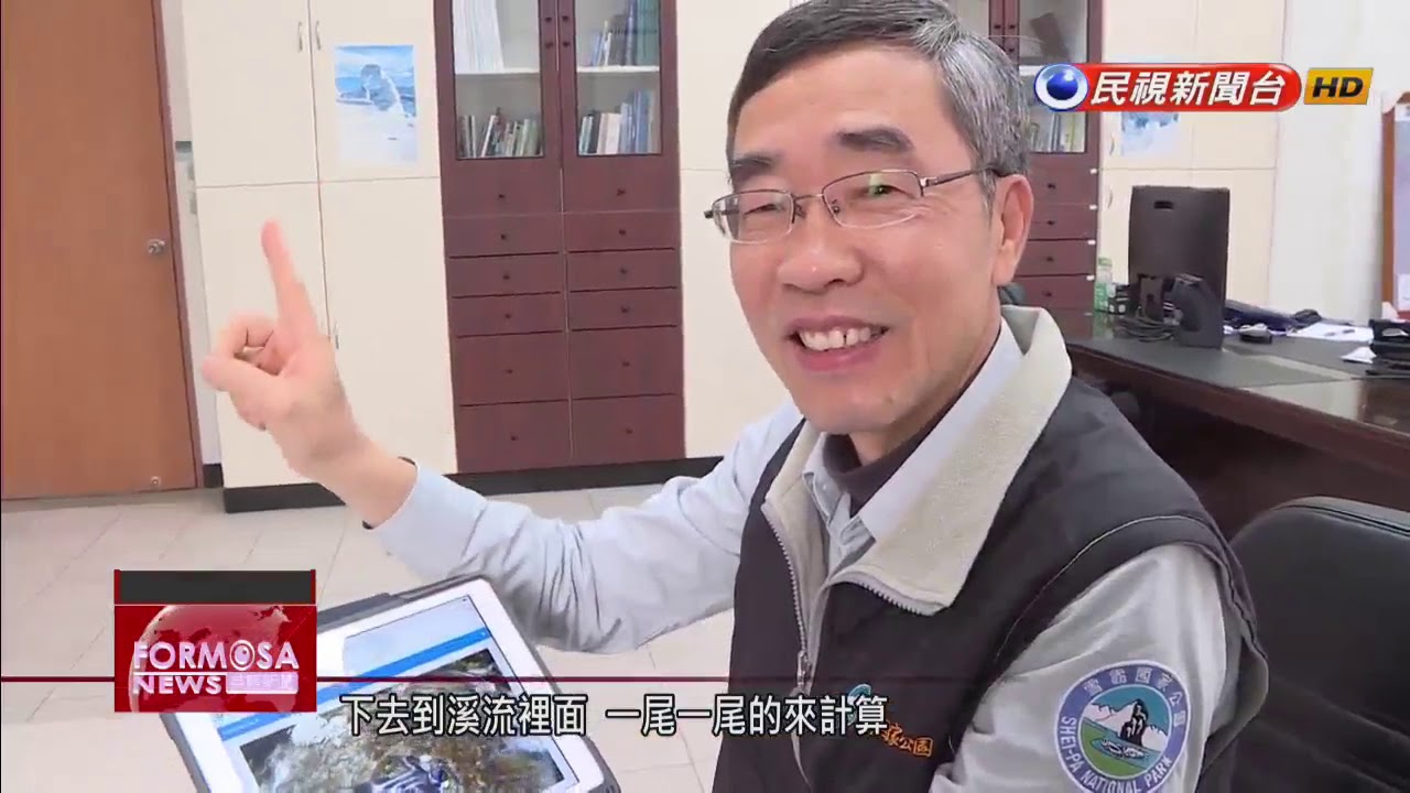 Formosan landlocked salmon back from the brink at Cijiawan Creek - YouTube