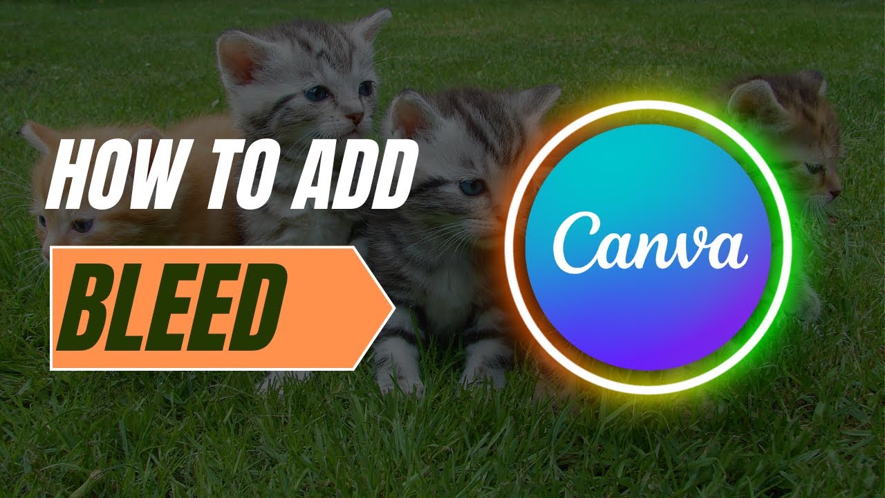 Adding Bleed in Canva (Mac/PC) - Step-by-Step Guide - YouTube