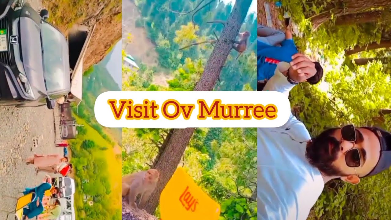 Top Some Beautiful Place's to visit in Murree | Murree Today Pakistan ...