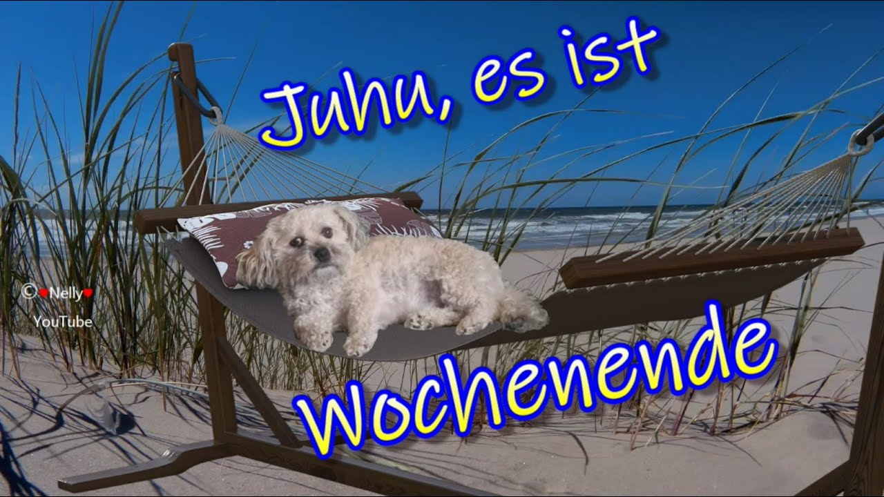 Juhu, es ist Wochenende ... 🌞 liebe Grüße von mir 🐶 - YouTube