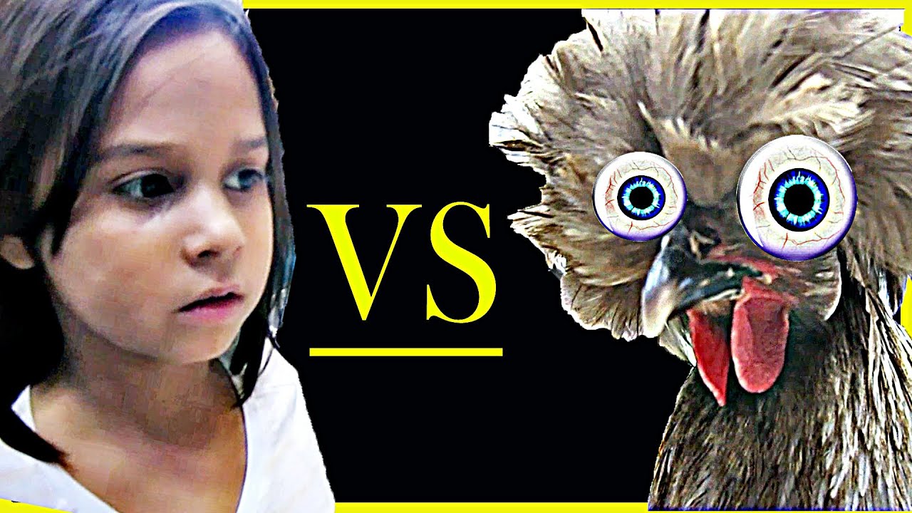 AFRO CHICKEN THREATENS WITH DEATH STARE! | The Family Vlog | Reality ...