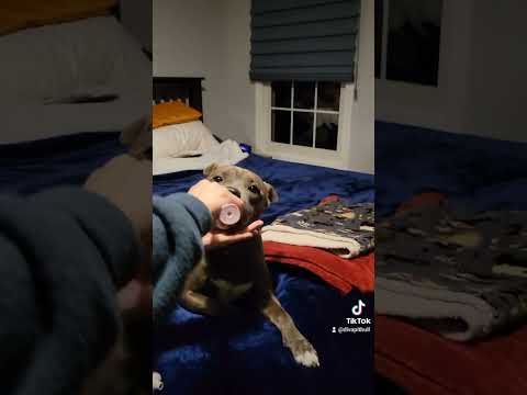 How to combat squirrel breath! - YouTube