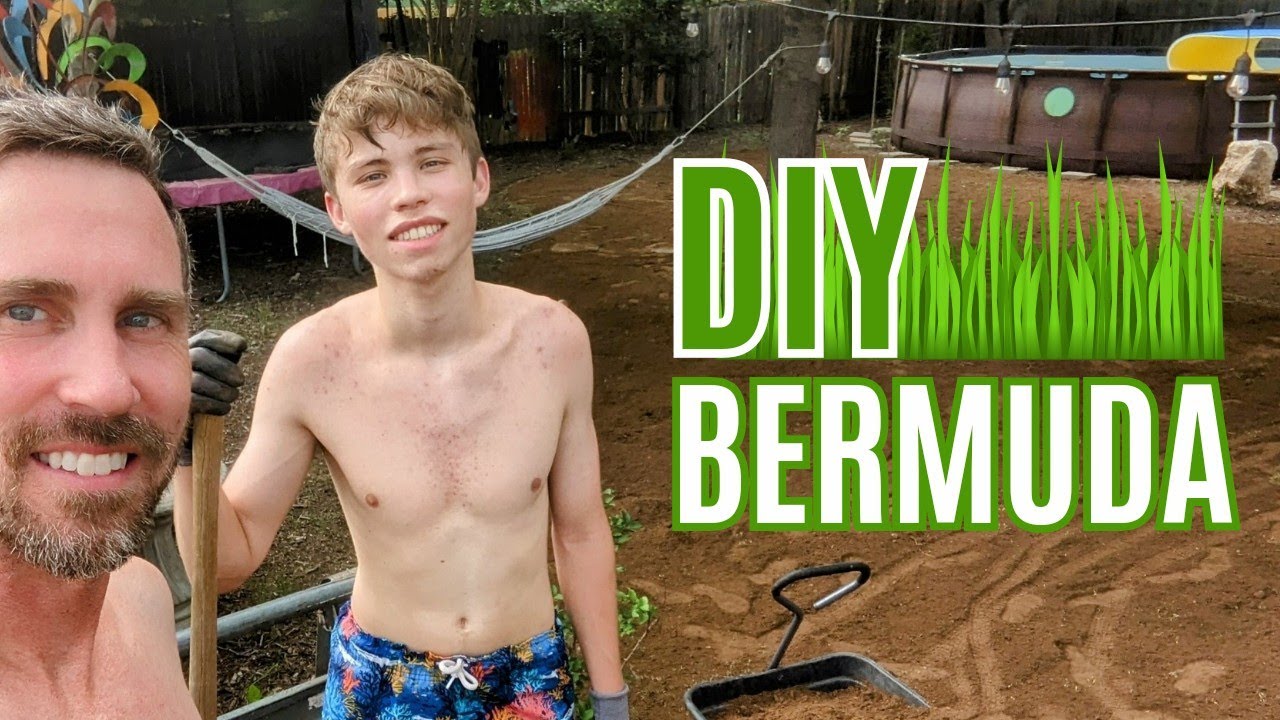 How to Plant and Grow Bermuda Grass Seed 🌱 #bermuda #bermudagrass # ...
